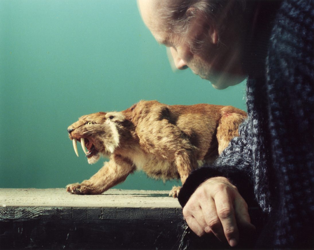 Ray Harryhausen: The Legendary Life of an Animation Master - Stop ...