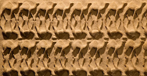 This Sand Stop-Motion Ad for Rajasthan’s Tourism Campaign - Stop Motion ...