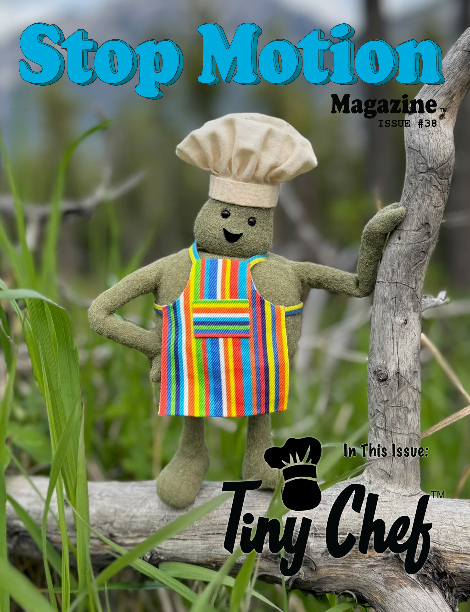 #38: The Tiny Chef Issue - Stop Motion Magazine